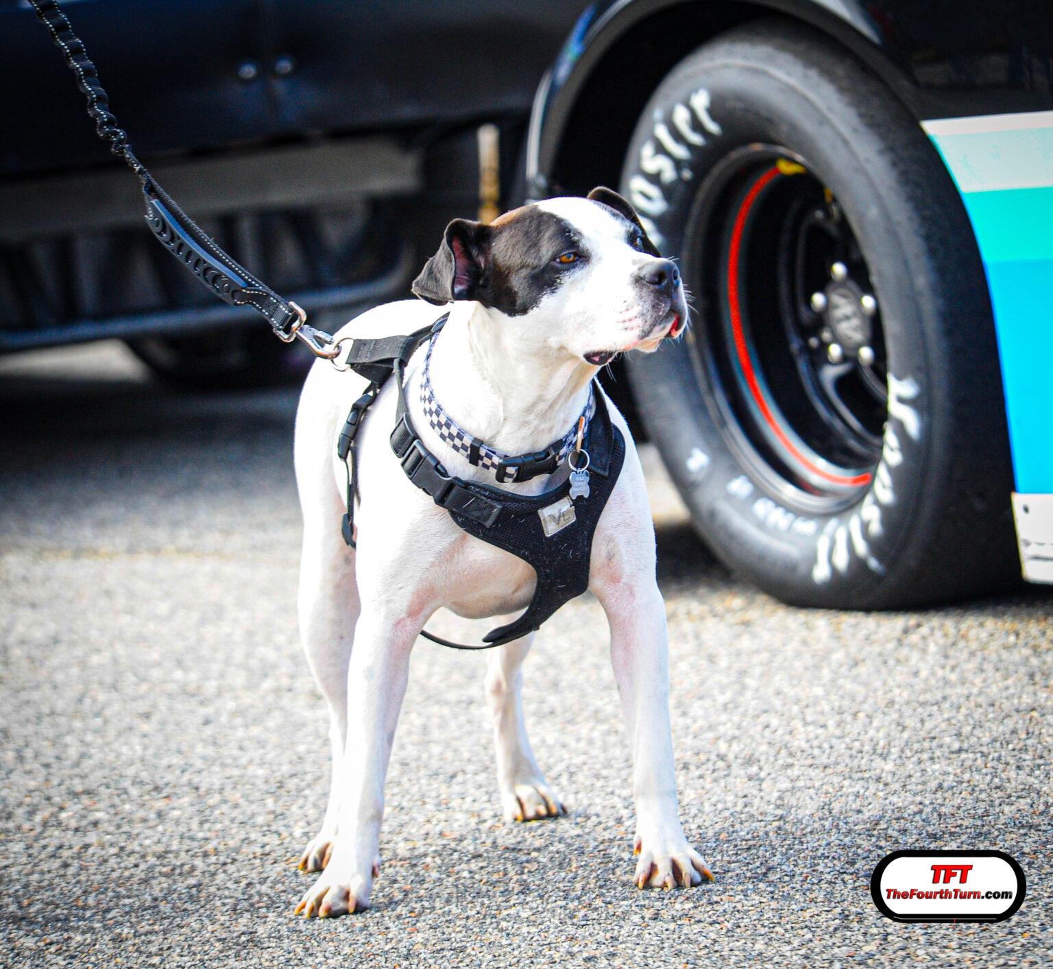 PHOTOS: 2025 Icebreaker at Florence Motor Speedway - The Fourth Turn